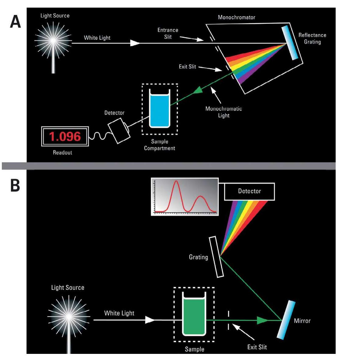 Differences between forward and reverse optical systems