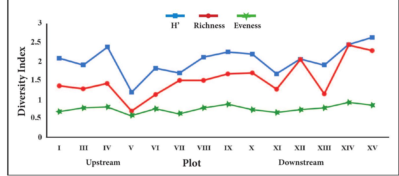 i plot i represents the highest elevation plot, while