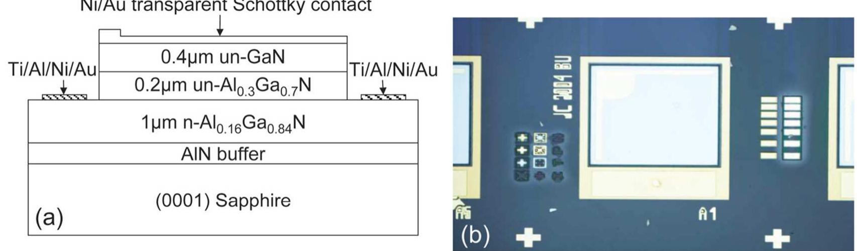 (a) schematic cross-sectional view of a bulk gan