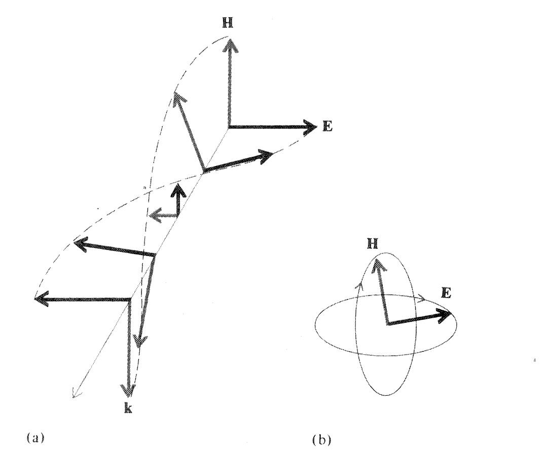 (PDF) Introduction to Modern Optics.pdf