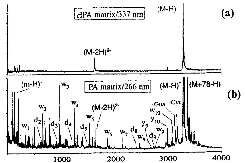Sequencing of a dna 11-mer by fast fragmentation in