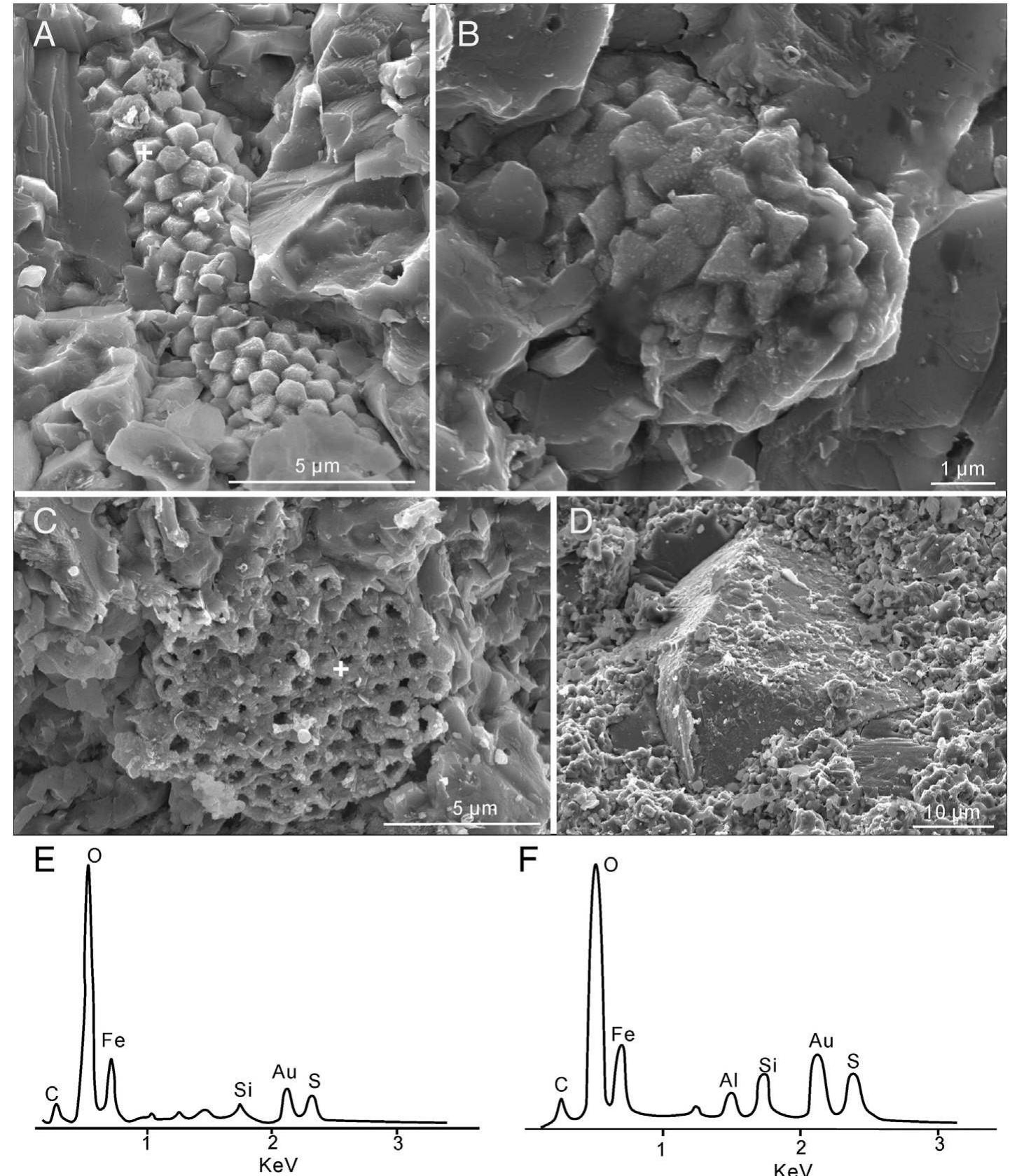 Scanning electron microscope (sem) images of iron framboids