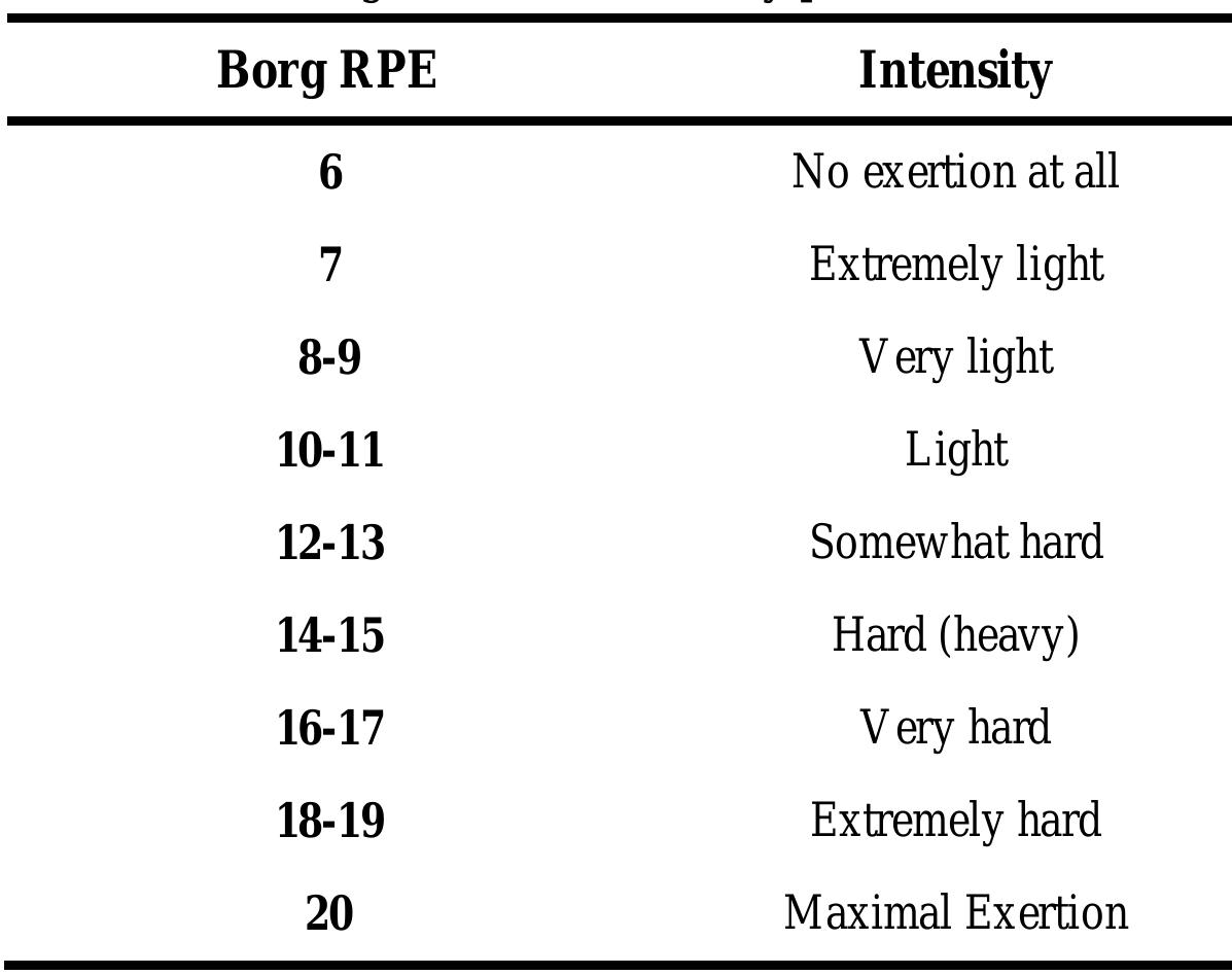 1 borg rpe scale of body perceived exertion. the numbers can