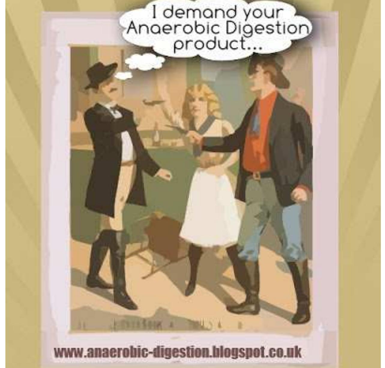 Figure 4 - The Anaerobic Digestion Process Explained