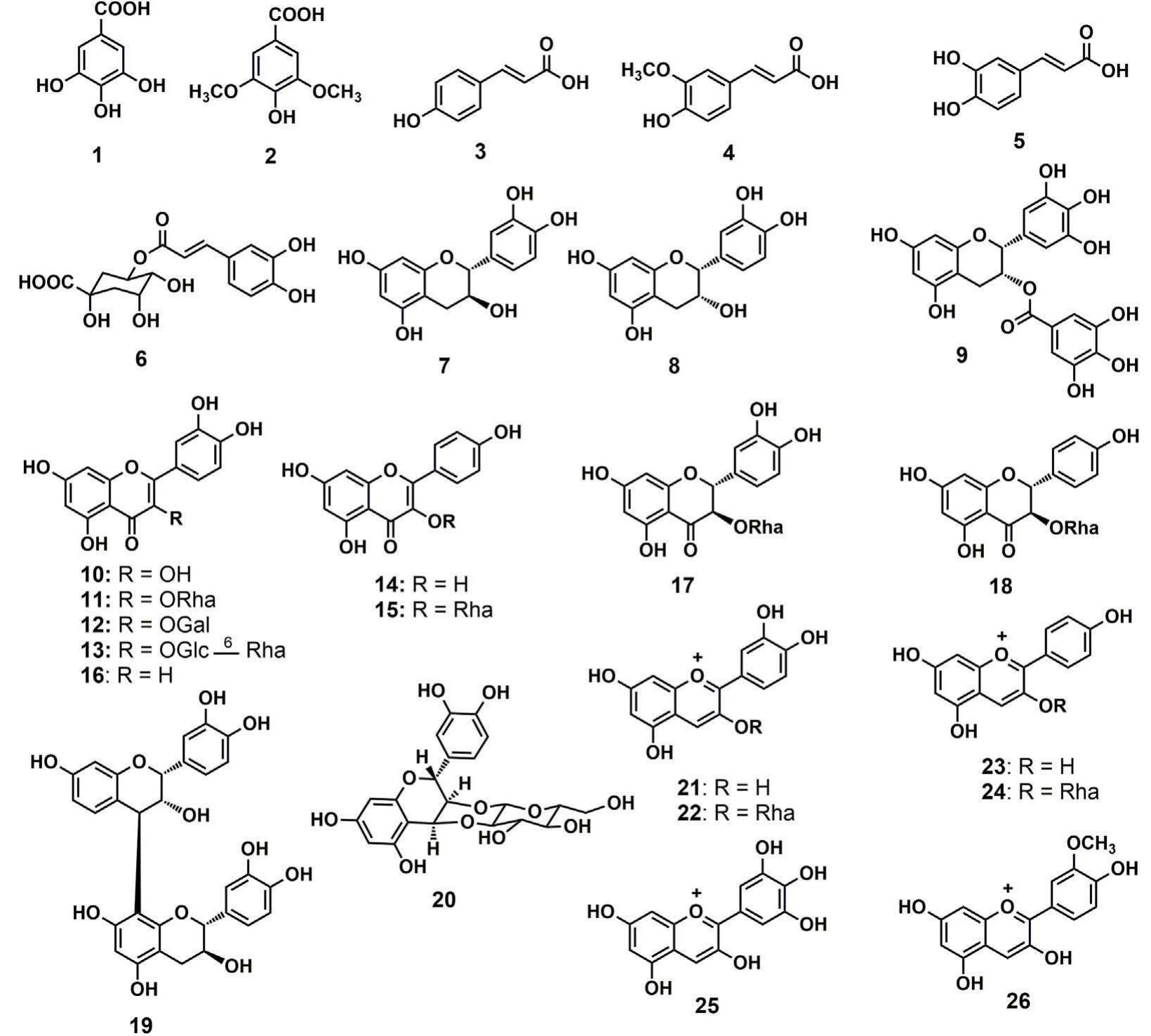 Chemical structure of phenolic compounds identified in