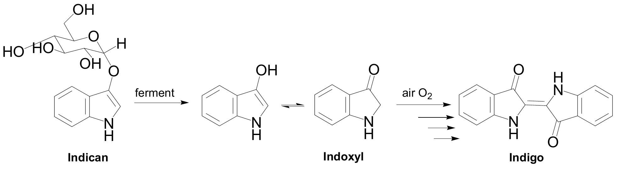 Reactions associated with the isolation of indigo from plant