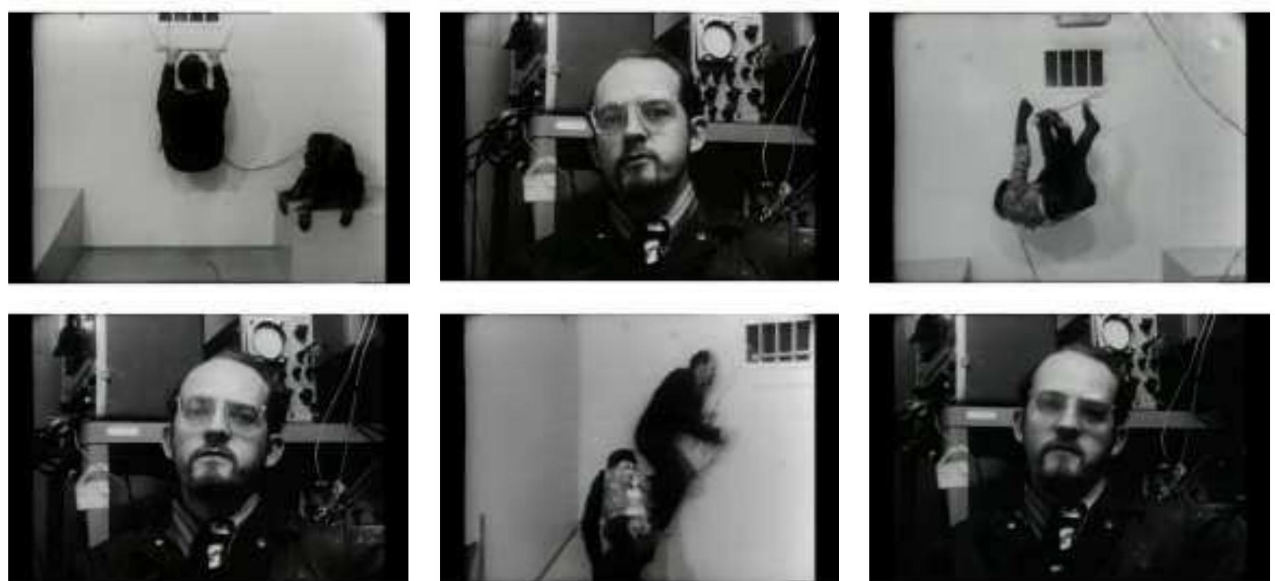 Charles Forceville - University of Amsterdam