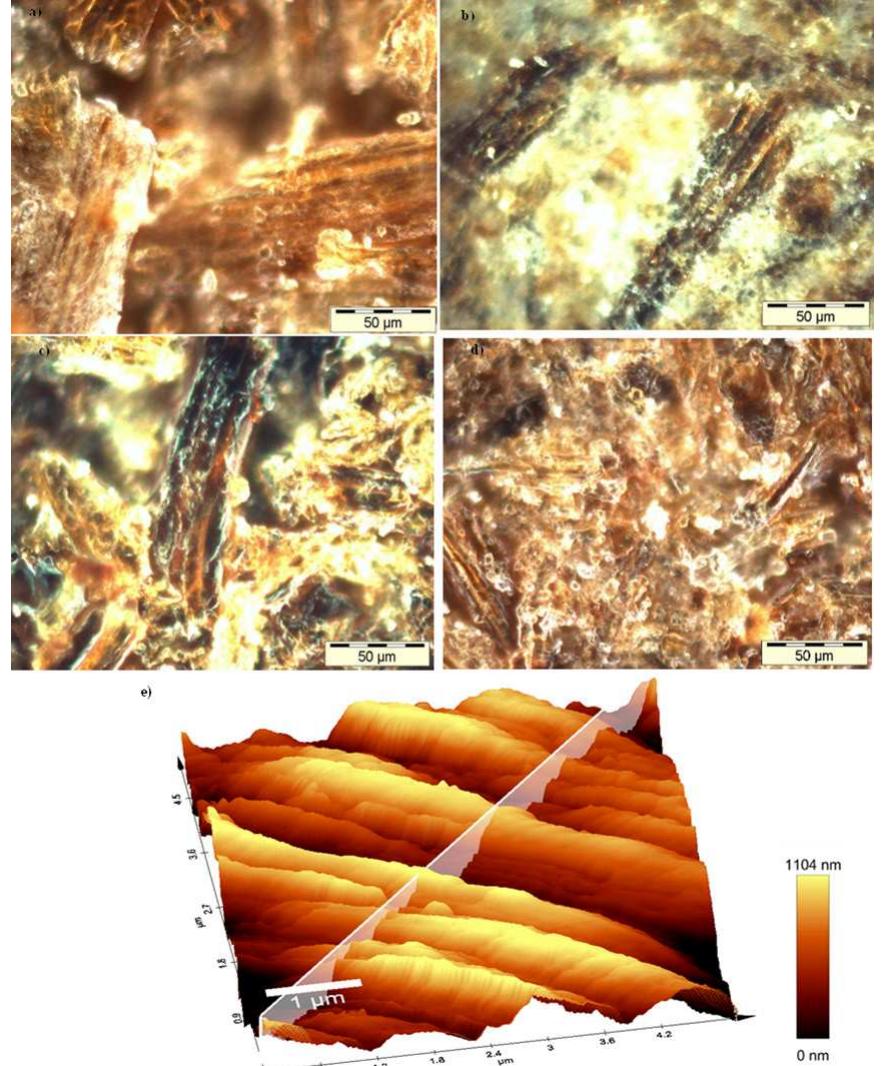 Optical microscopy images of fibers (magnification 50