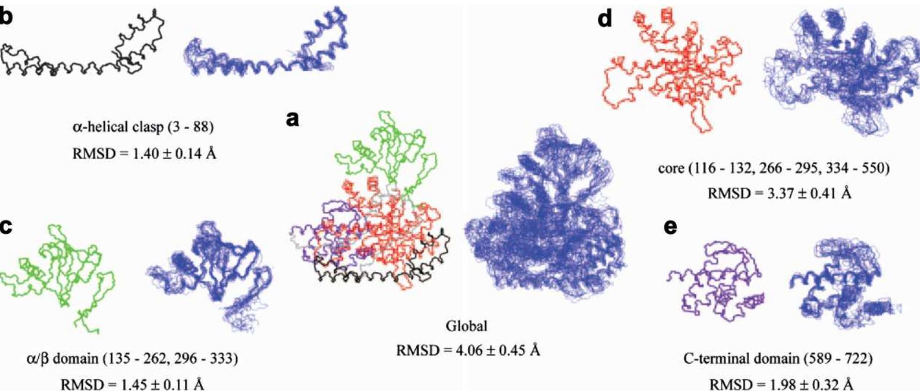 X-ray and nmr structures of a 723-residue protein, msg (e.