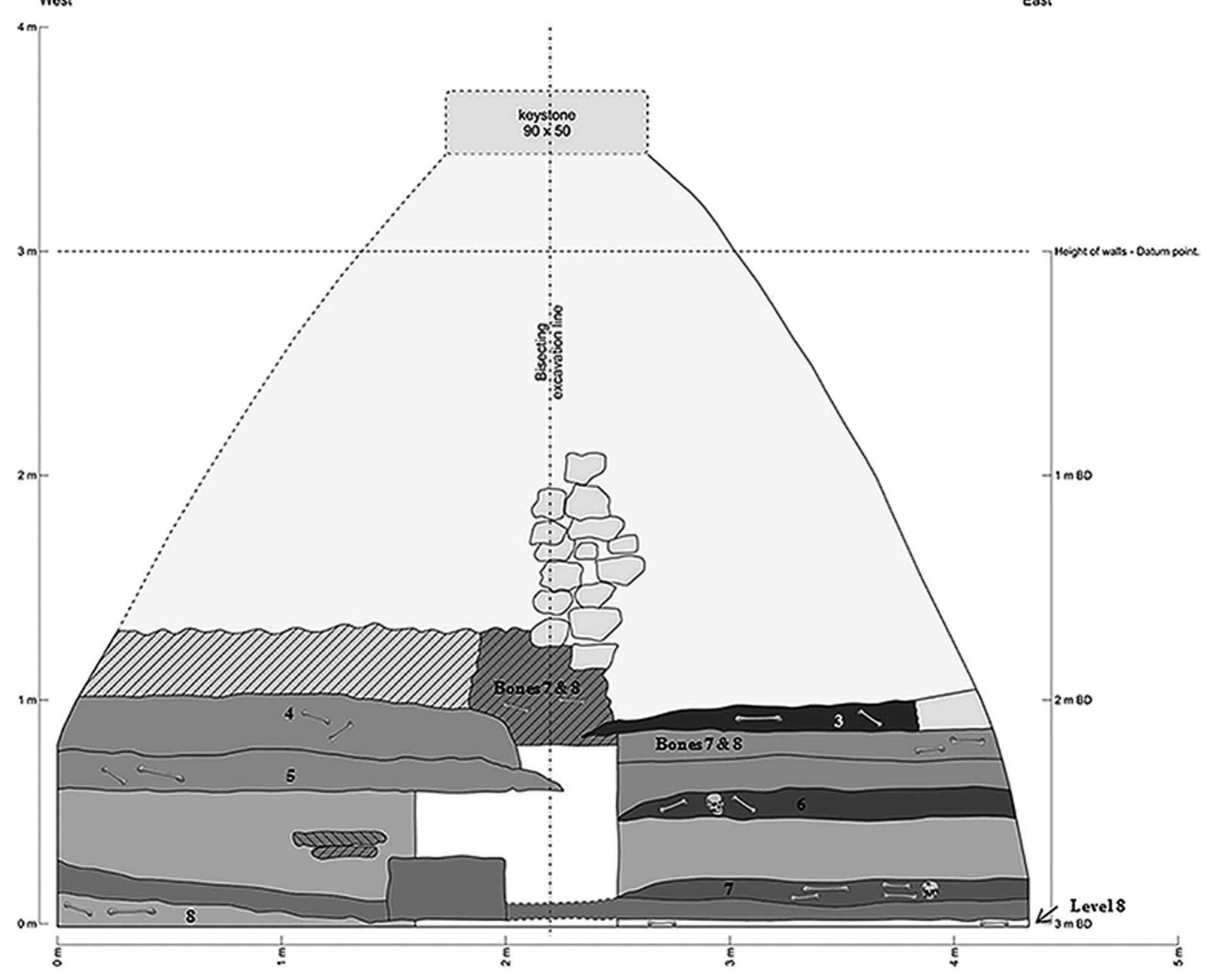 Section plan of the tomb with burial levels indicated with