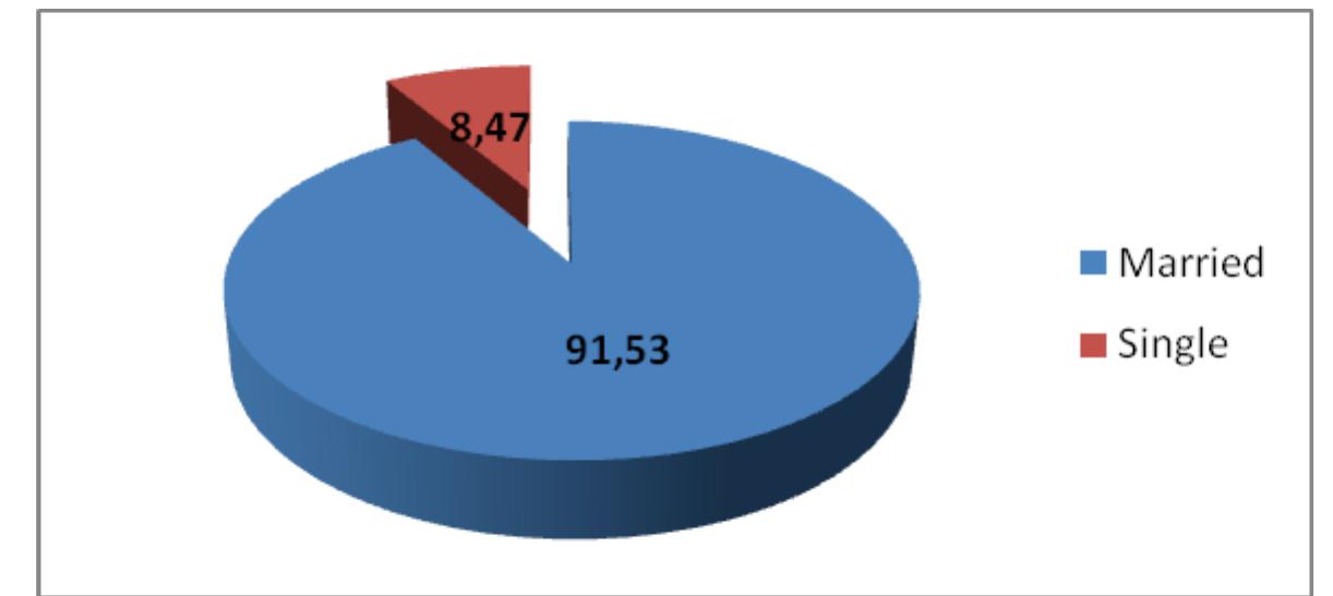 The civil status of pnap project beneficiaries of the