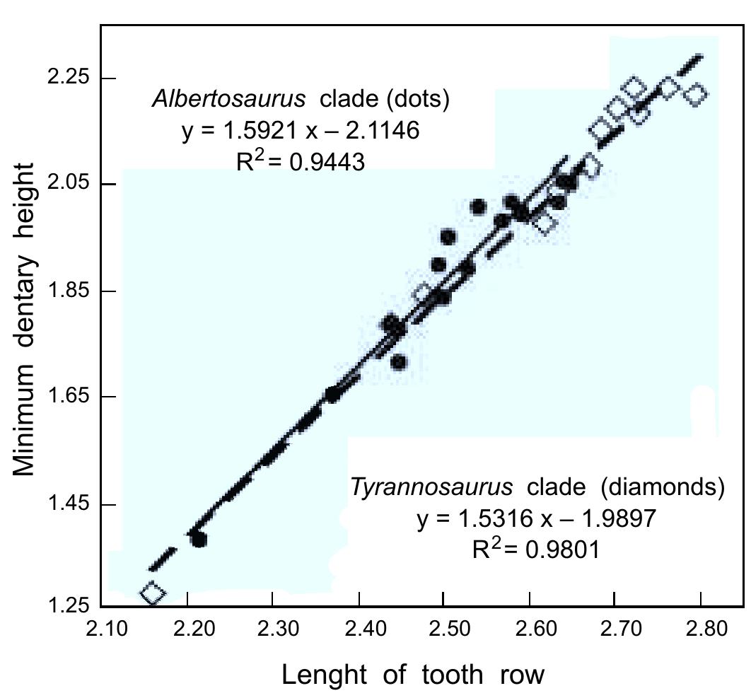 (PDF) Cranial anatomy of tyrannosaurid dinosaurs from the Late ...