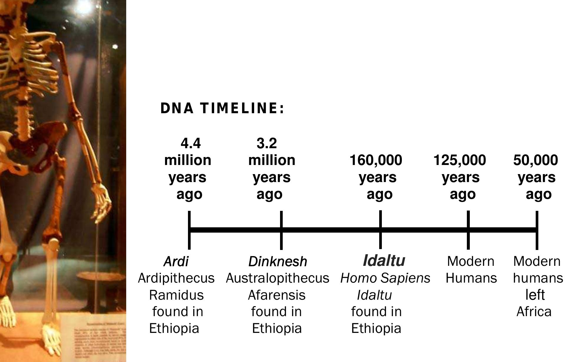 Figure 3 - The Ethiopian Culture of Ancient Egypt: