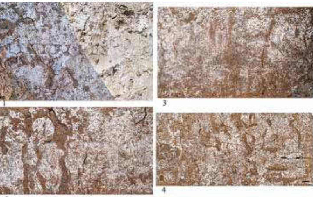 Depictions (faintly discernable in the photographs) on the