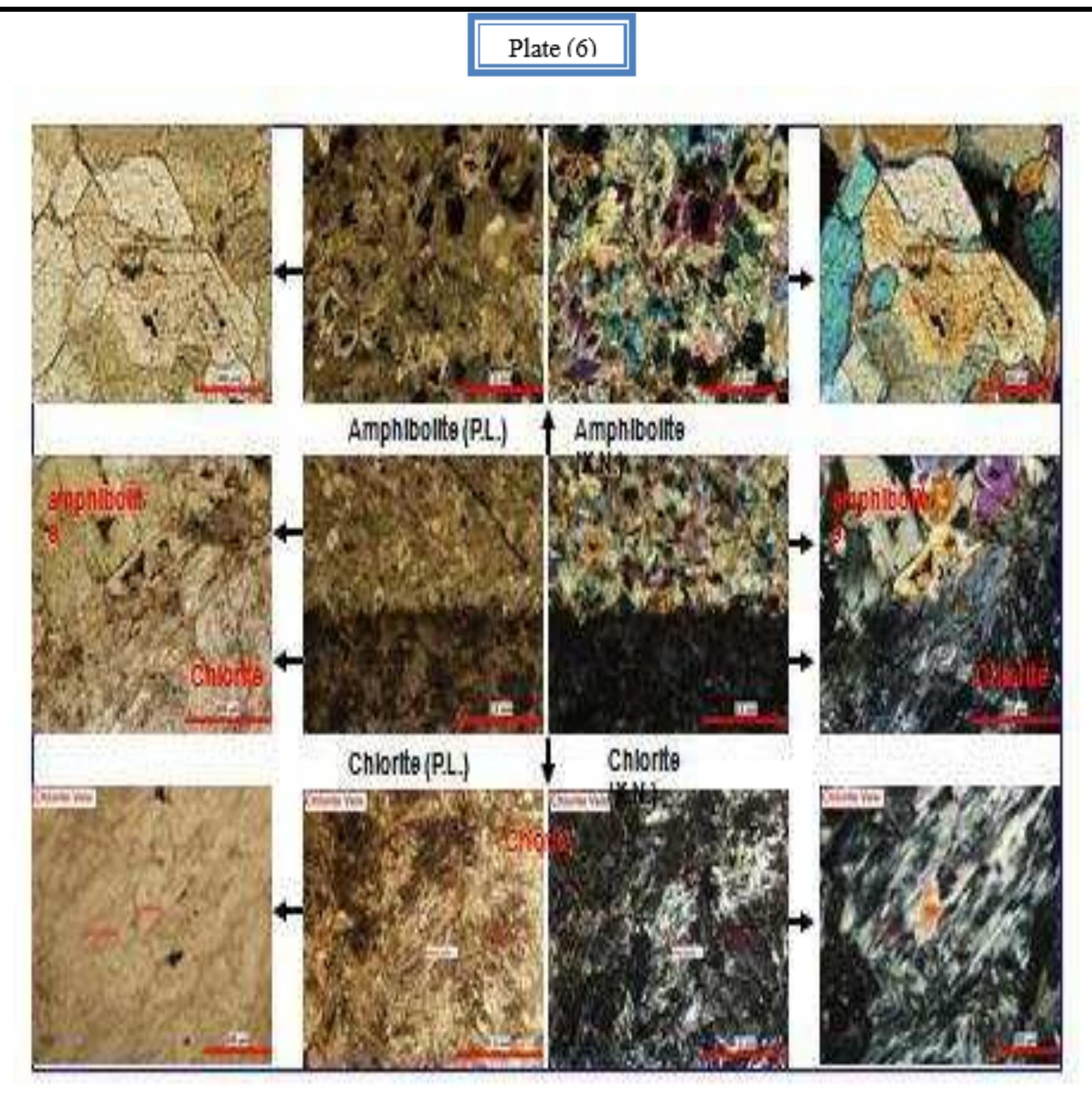 Late (6) photomicrograph of different parts of the sample