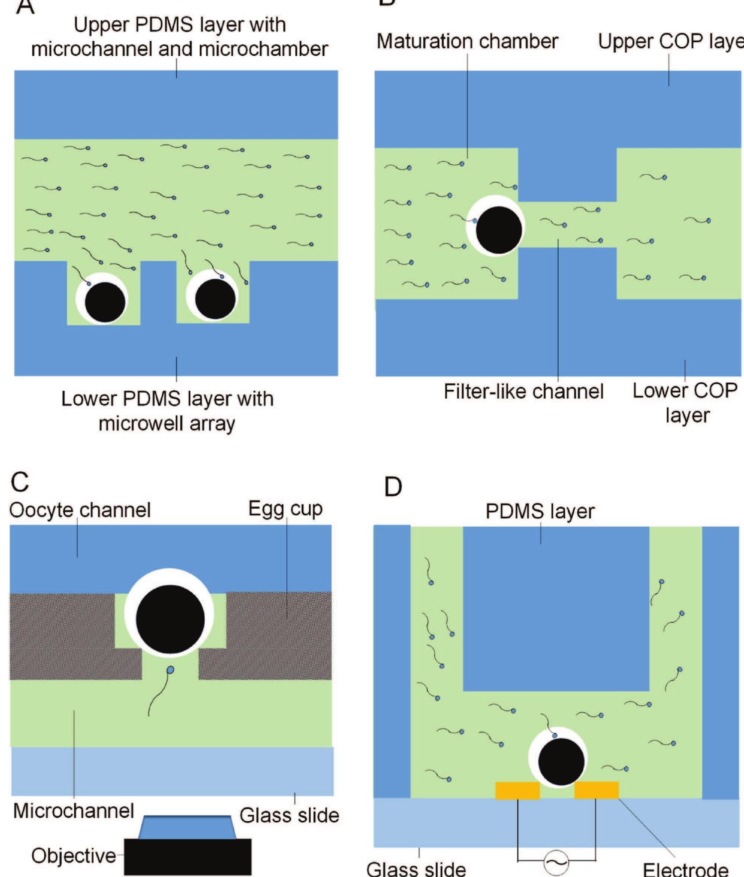 Various microfluidic mechanisms used for insemination. a)