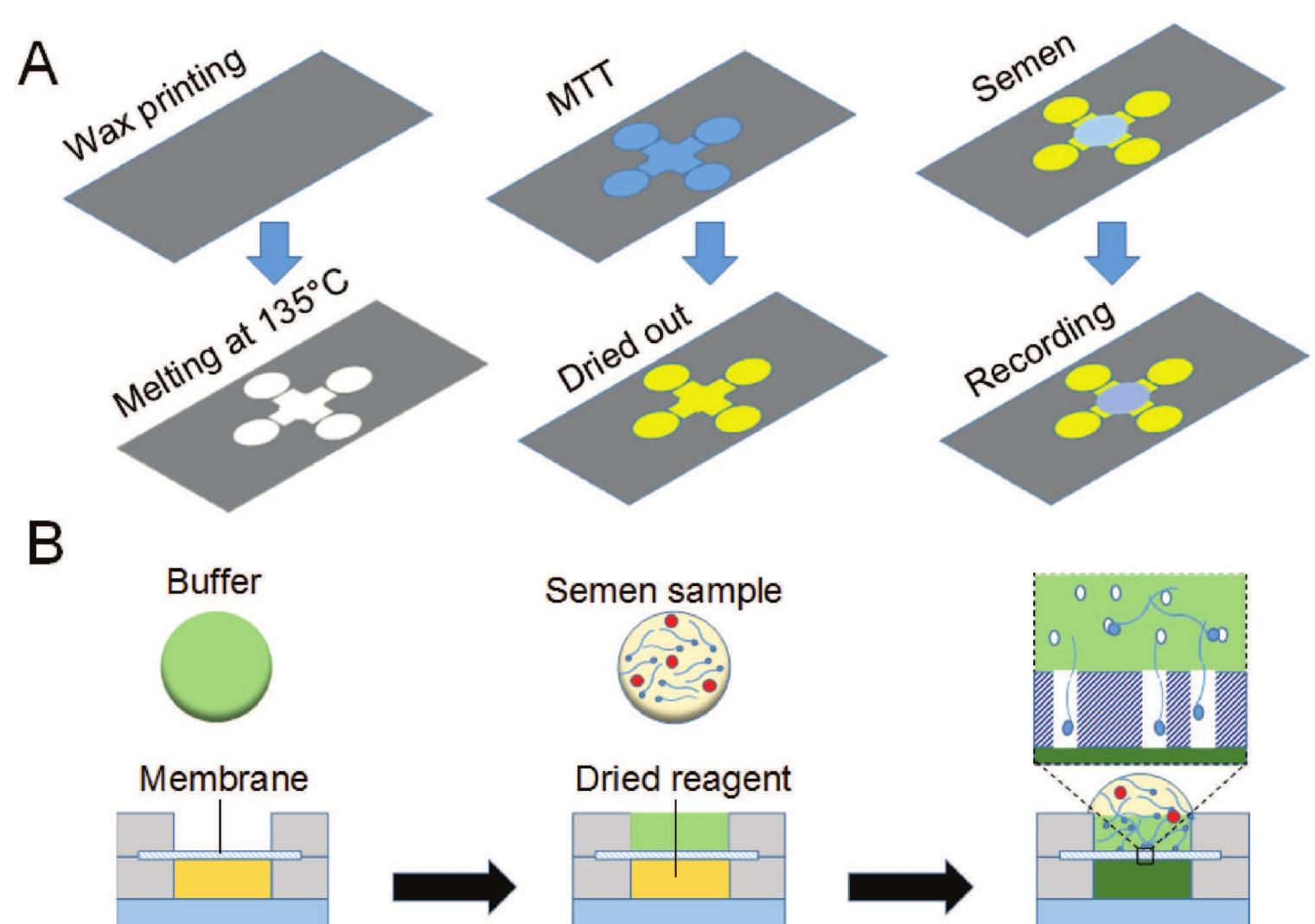 Various paper-based microfluidics for semen analysis. a) the