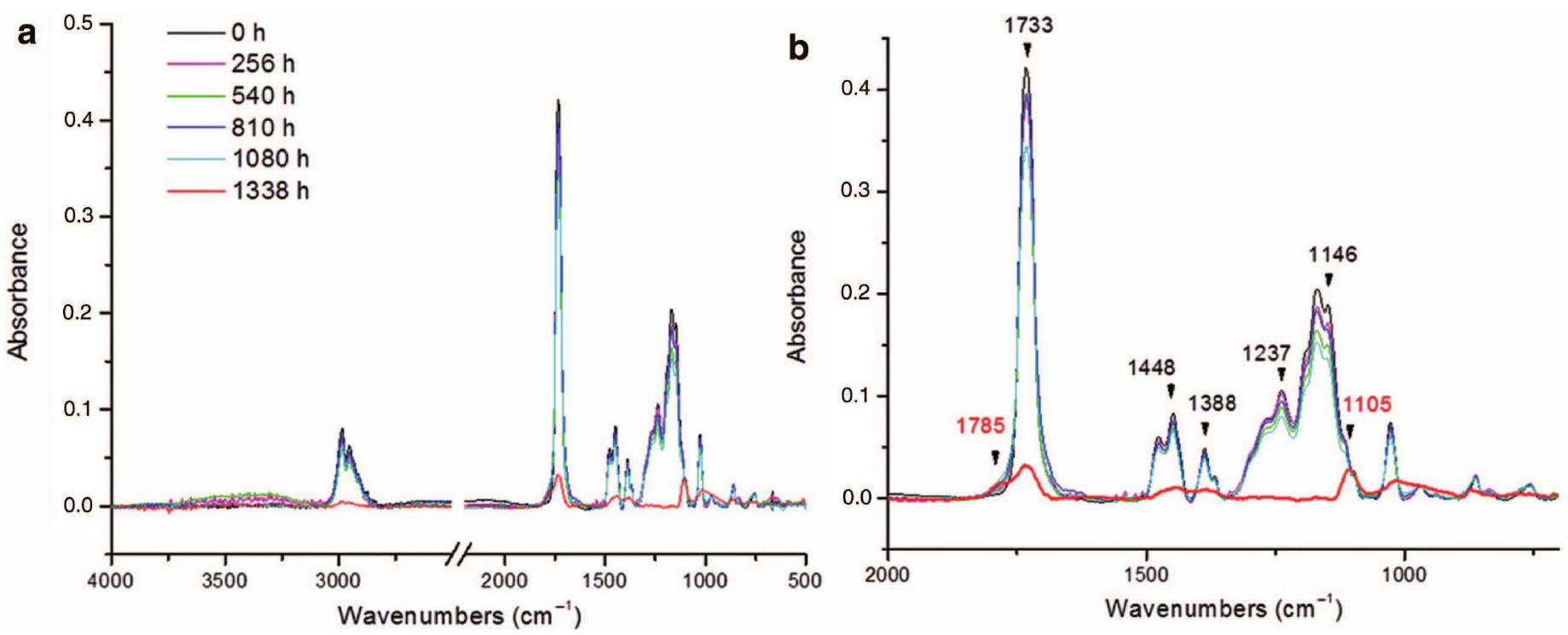 Ftir spectra of the c-paraloid b72 (a). detail of ftir