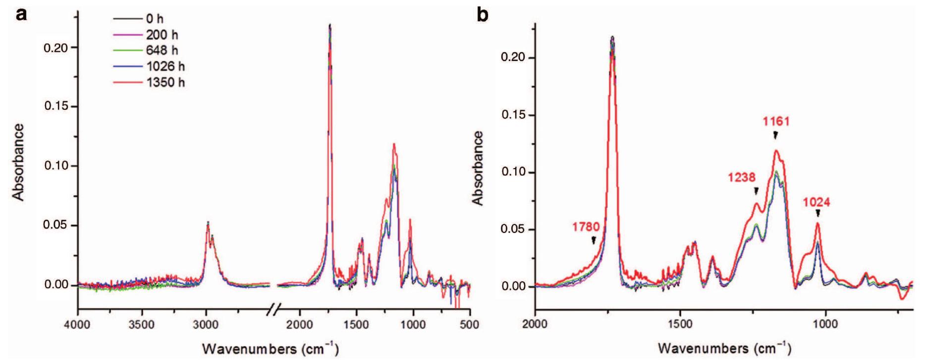 Ftir spectra of m-paraloid b72 (a). detail of ftir spectra