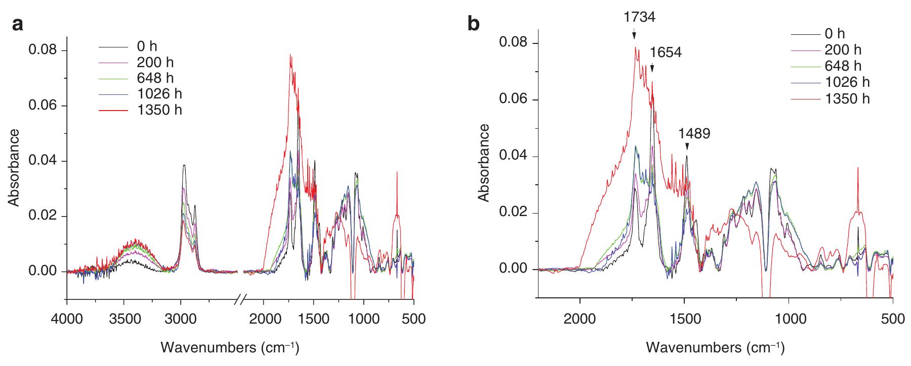 Ftir spectra of the m-laropal a811 (a). detail of ftir