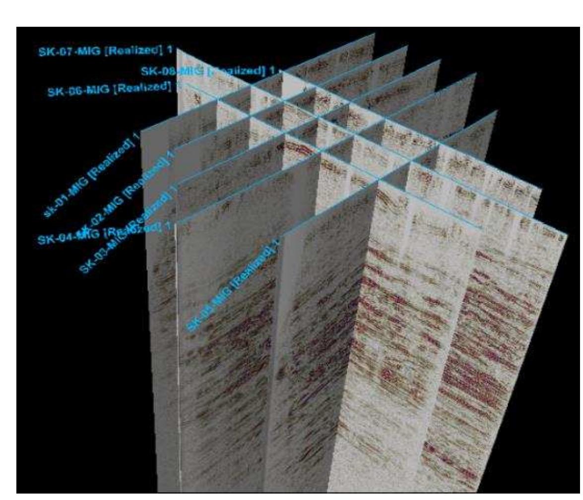 3d view of 2d seismic line. figure 2. 2d view of seismic