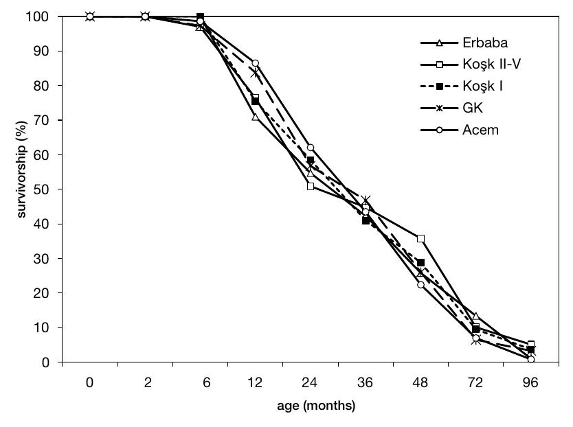 Fic. 8. — survivorship curves based on mandibular tooth wear