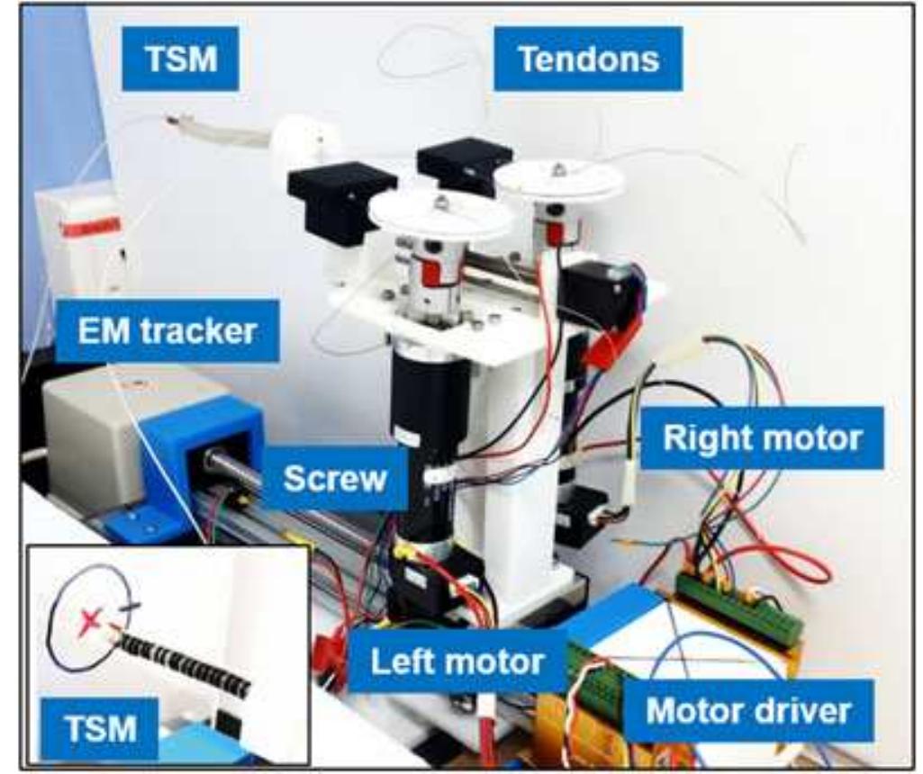 Experimental setup of the tendon-driven serpentine