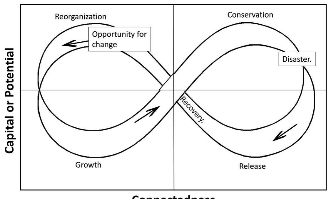 20 panarchy: the adaptive cycle. panarchy identifies four