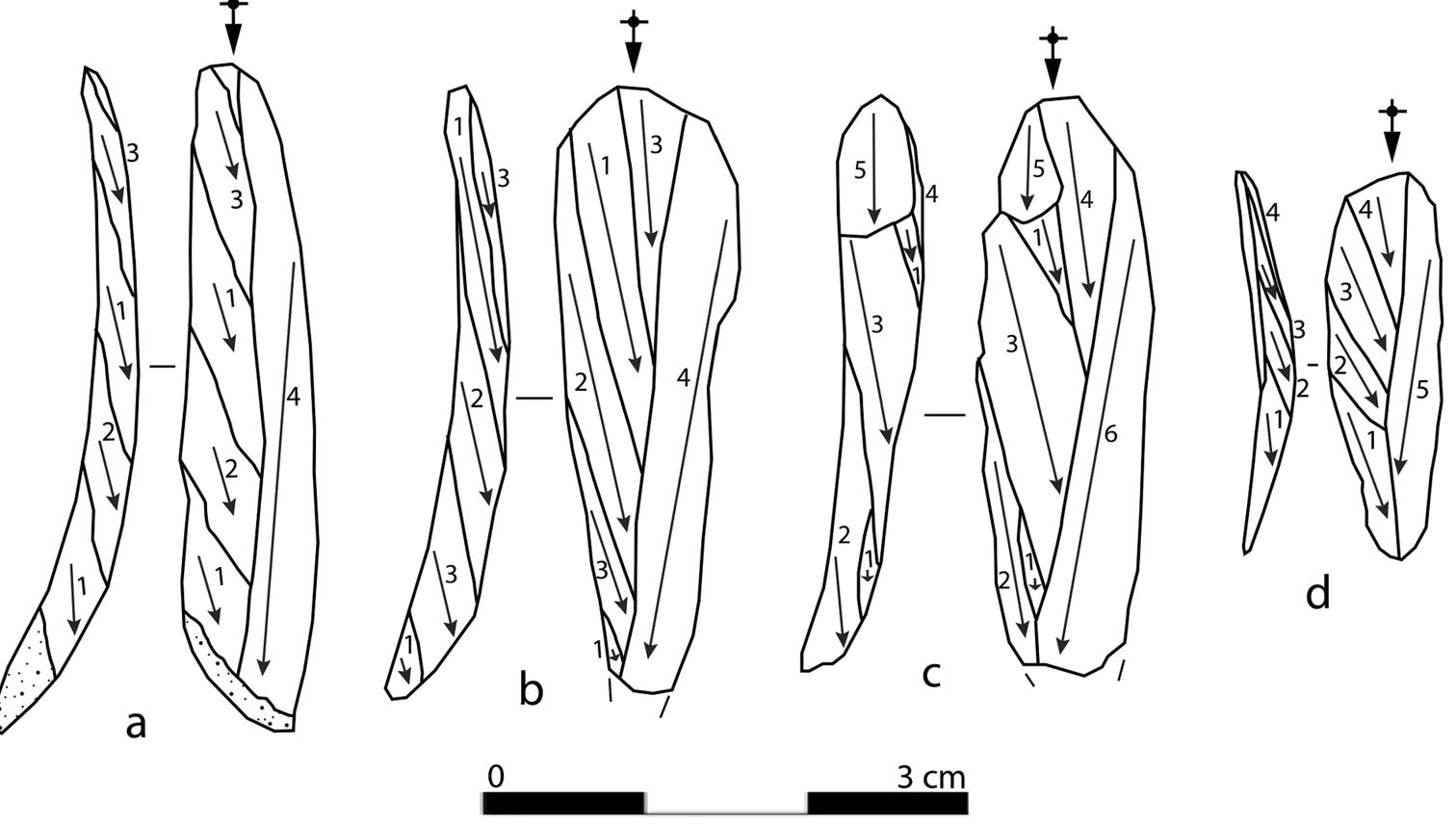 Examples of bladelets with oblique scar patterns partially