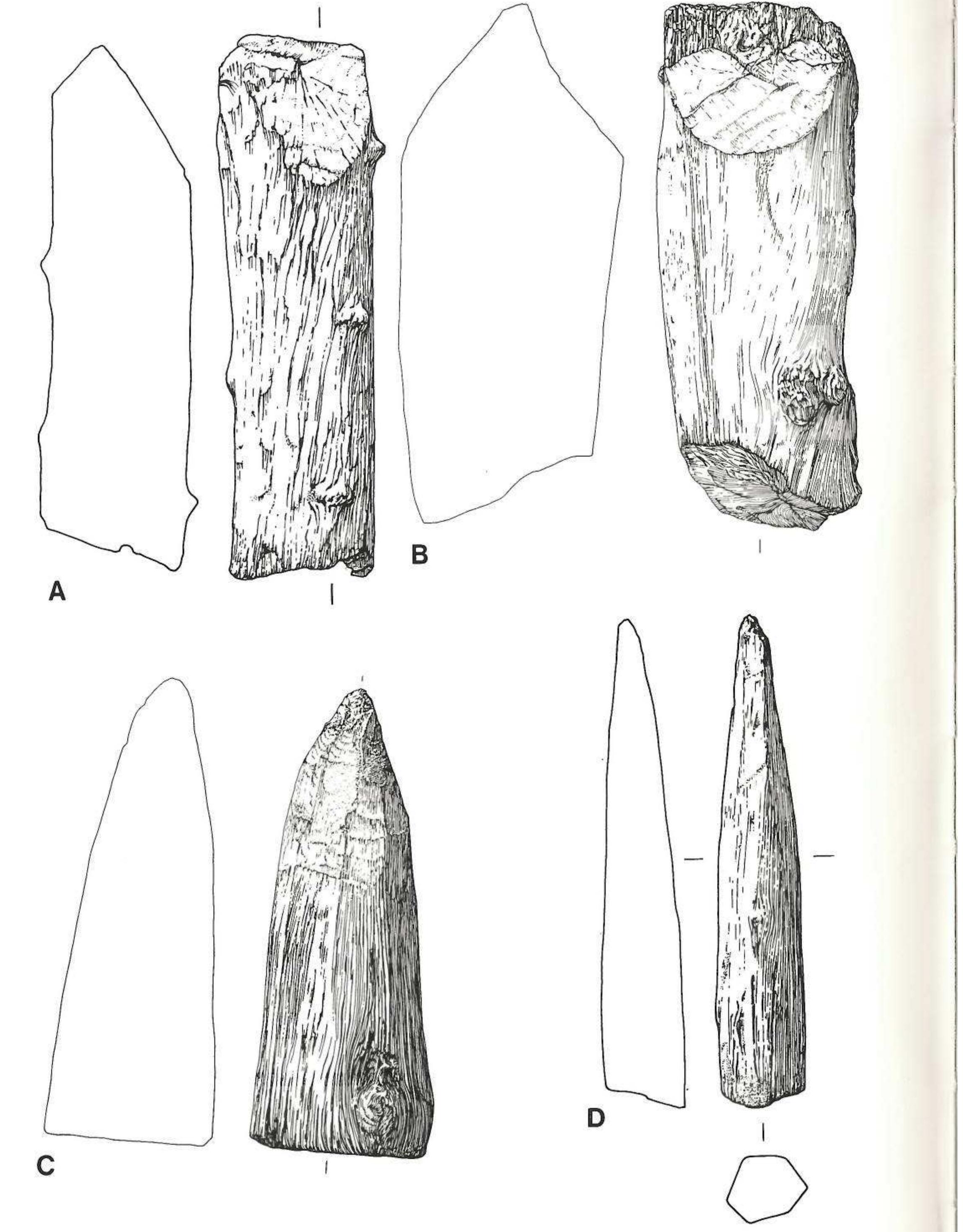 3 a & b: examples of alnus raft-timbers from road