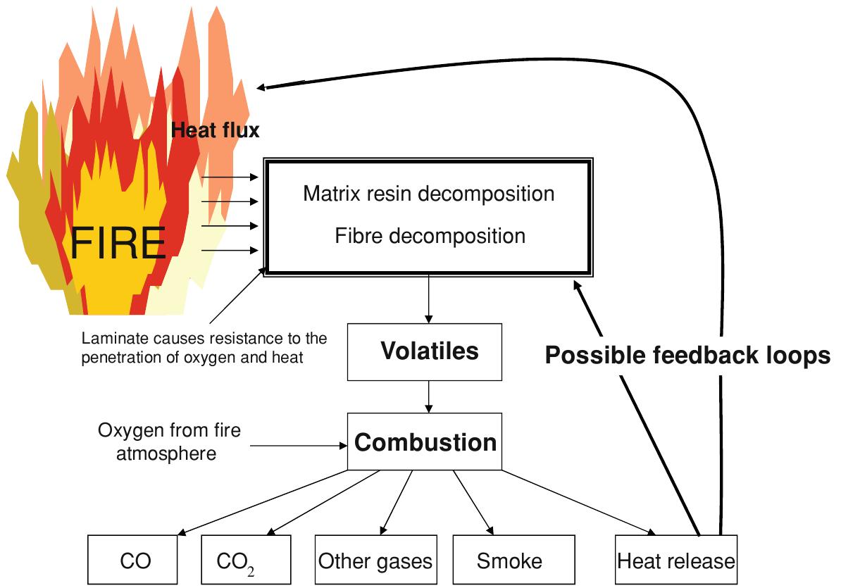 1 general mechanisms involved in the thermal decomposition