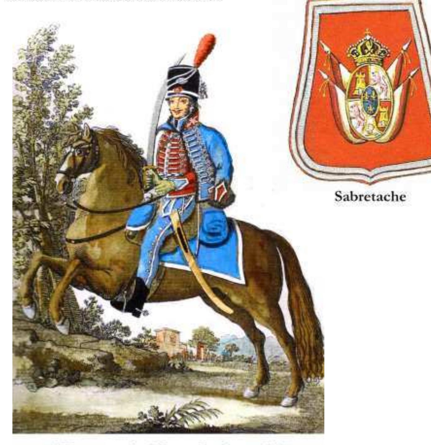 (PDF) Spanish Cavalry of the Early Peninsular War: UNIFORMS ...