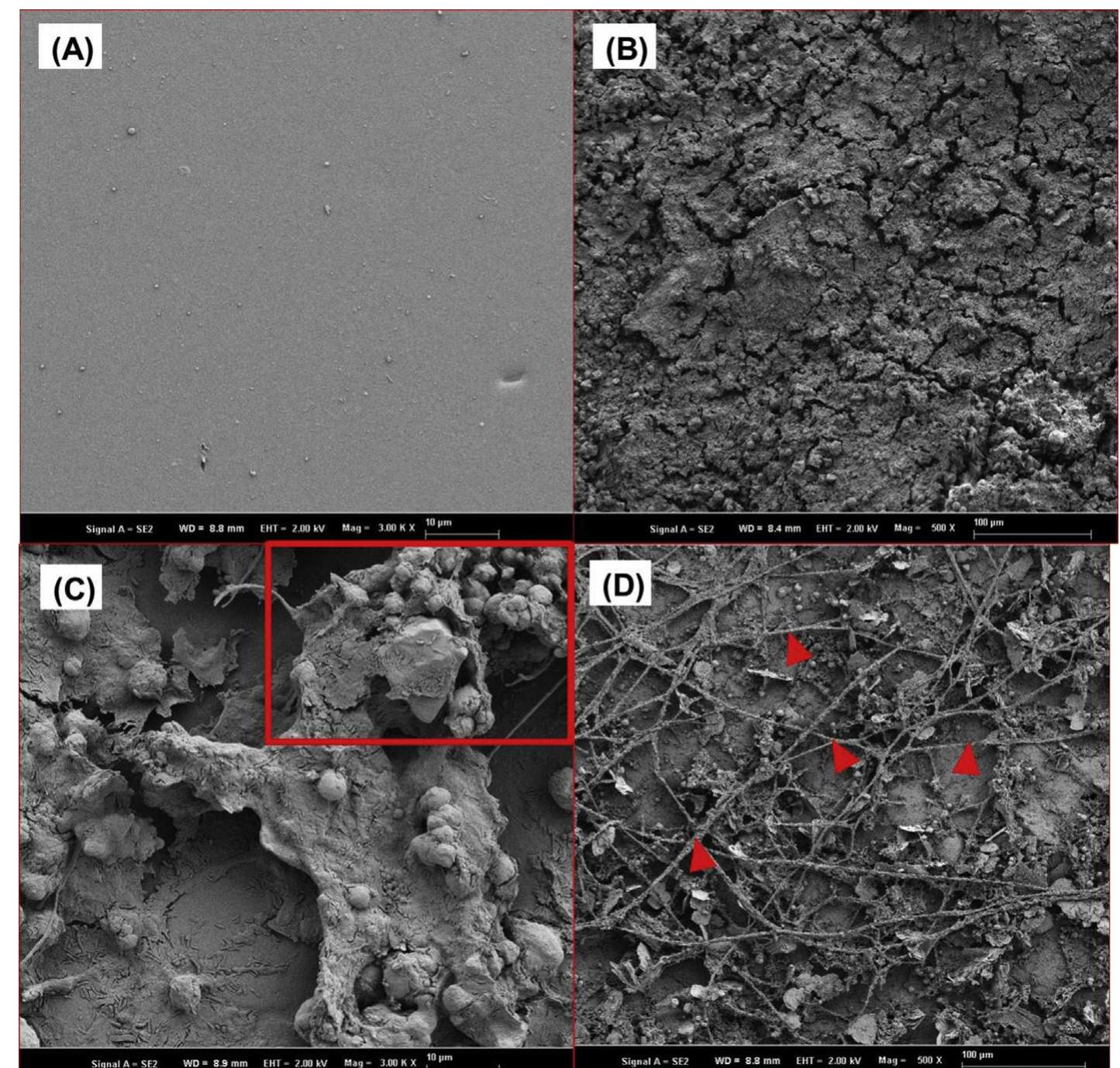 Figure 8 - from The effect of Nafion membrane fouling on the