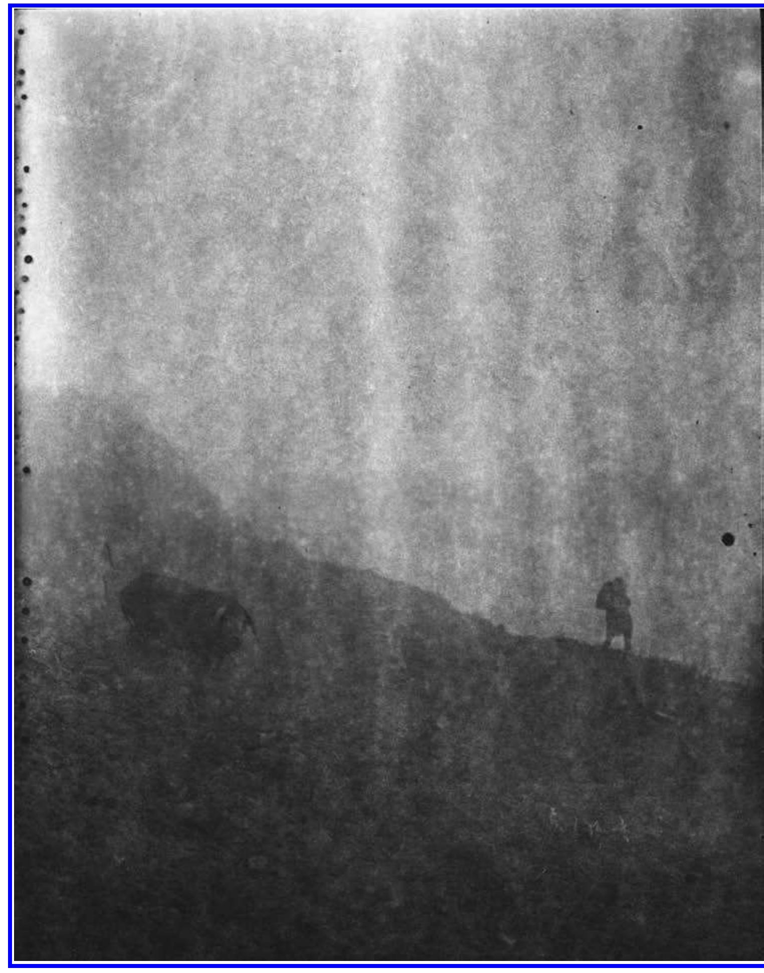 Adou. child, pig. 2006. courtesy of m97 gallery, shanghai.