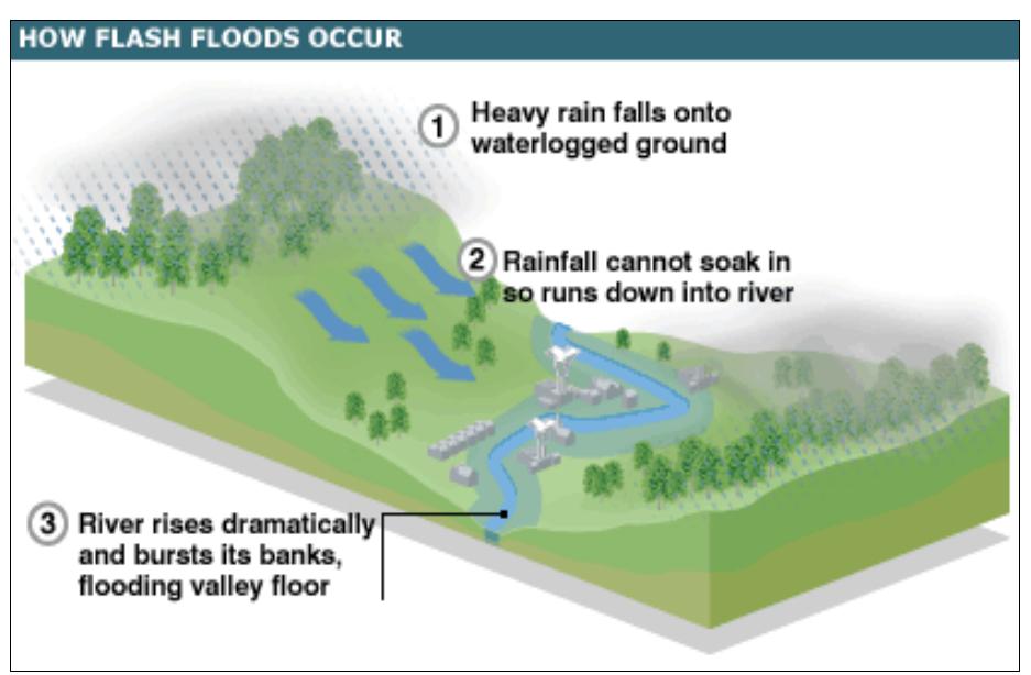 Effect of deforestation of flooding © google images figure