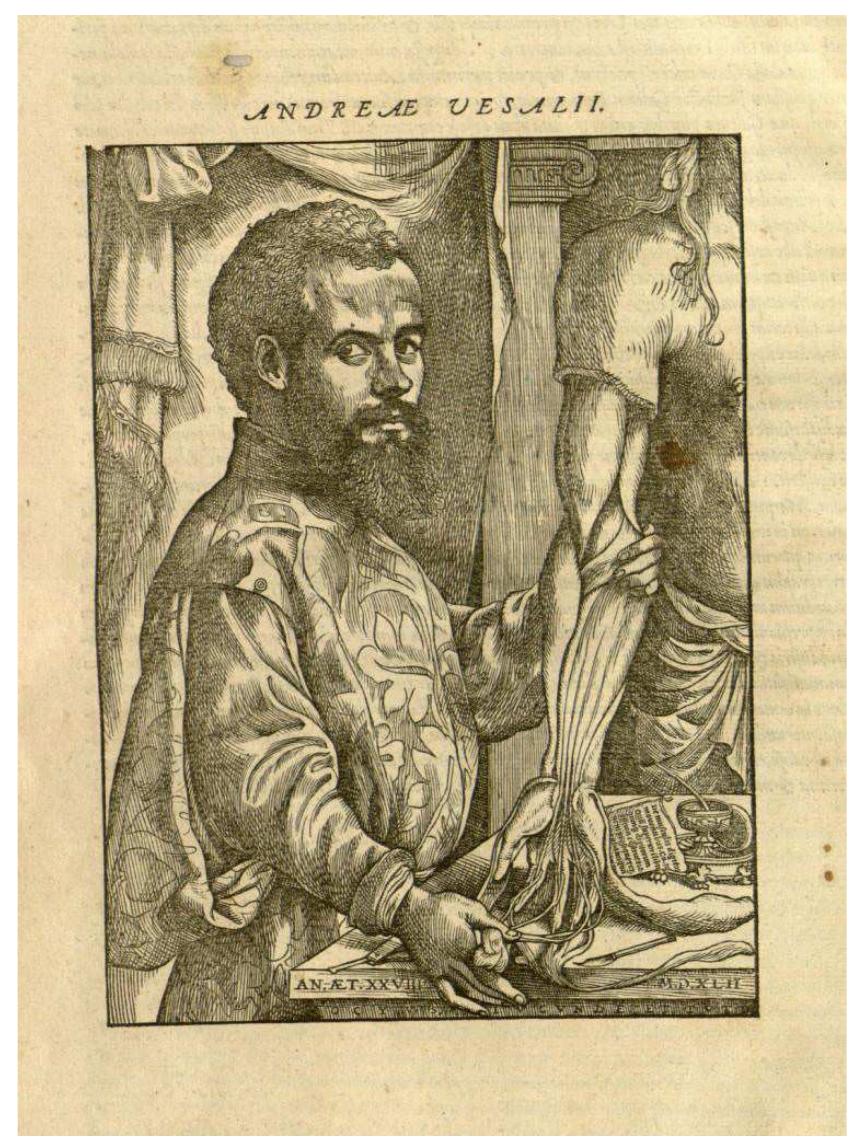1. portrait of andreas vesalius, the flemish anatomist who