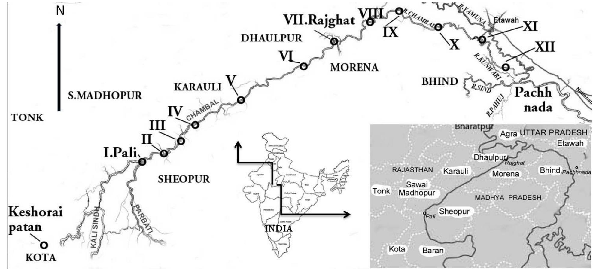 Map of river chambal showing study zones, i. pali-rameswar