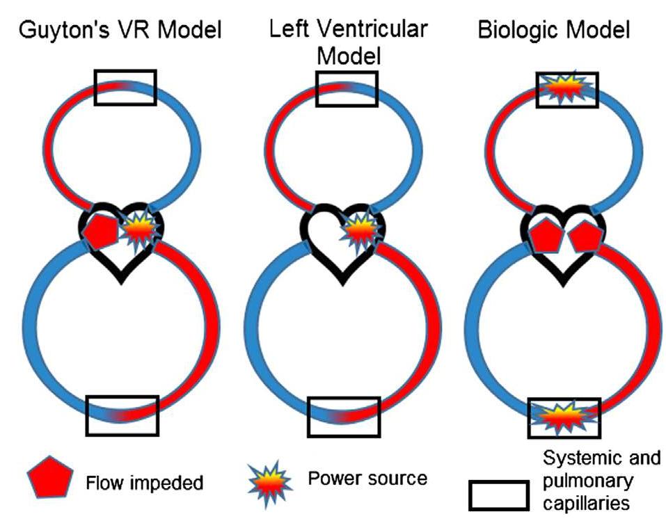 A comparison of the classic pp and biologic models of