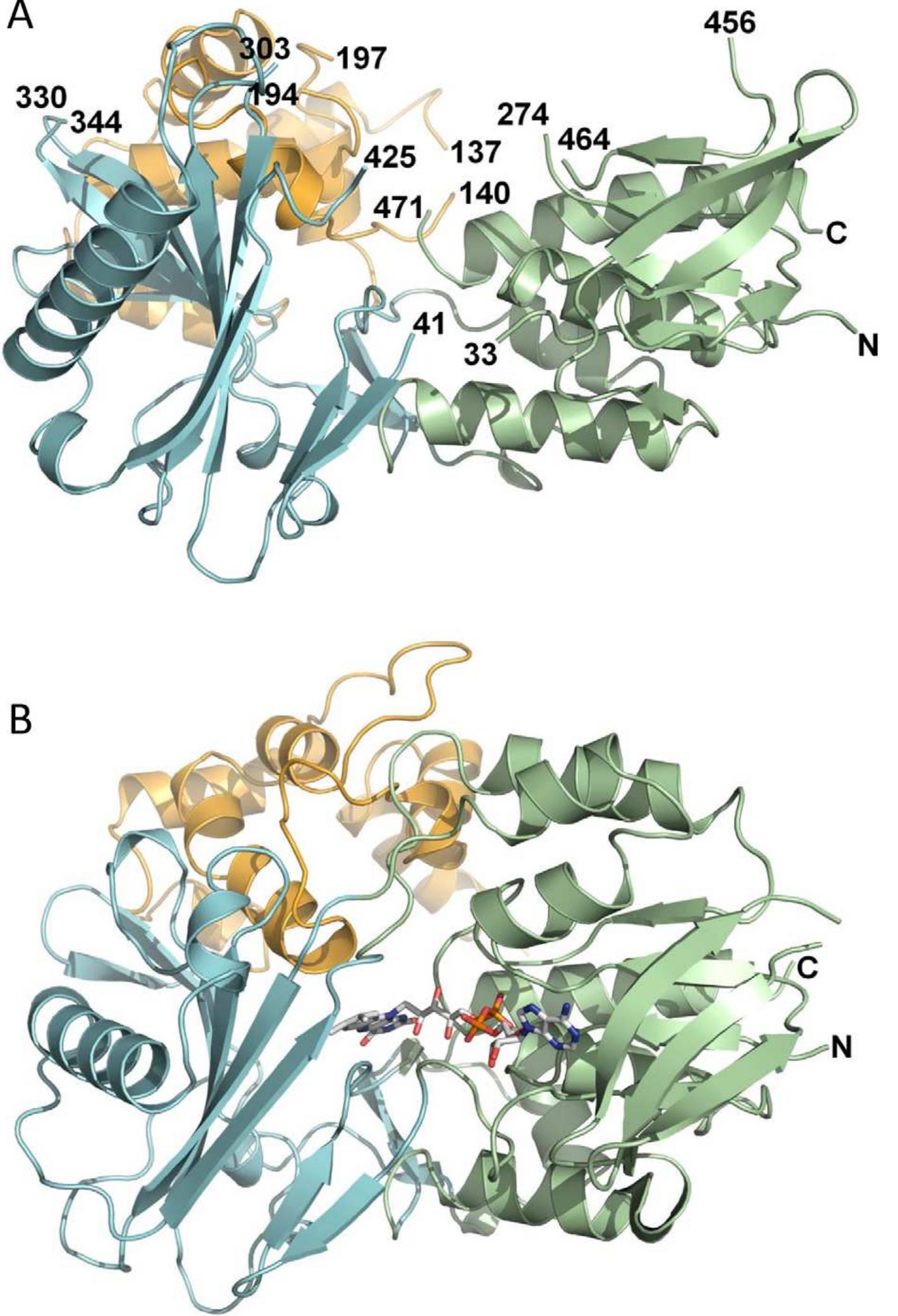 Figure 11 - from On the Structure and Function of the