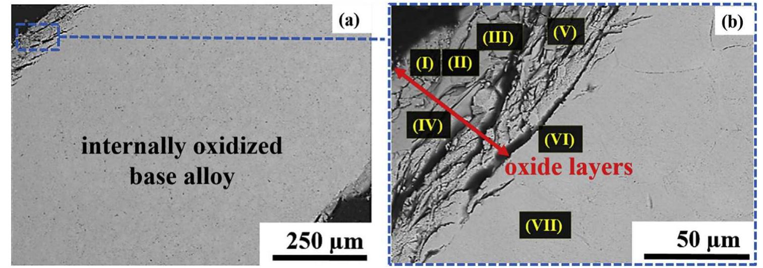 Microstructure of the cross-section for the remaining bulk