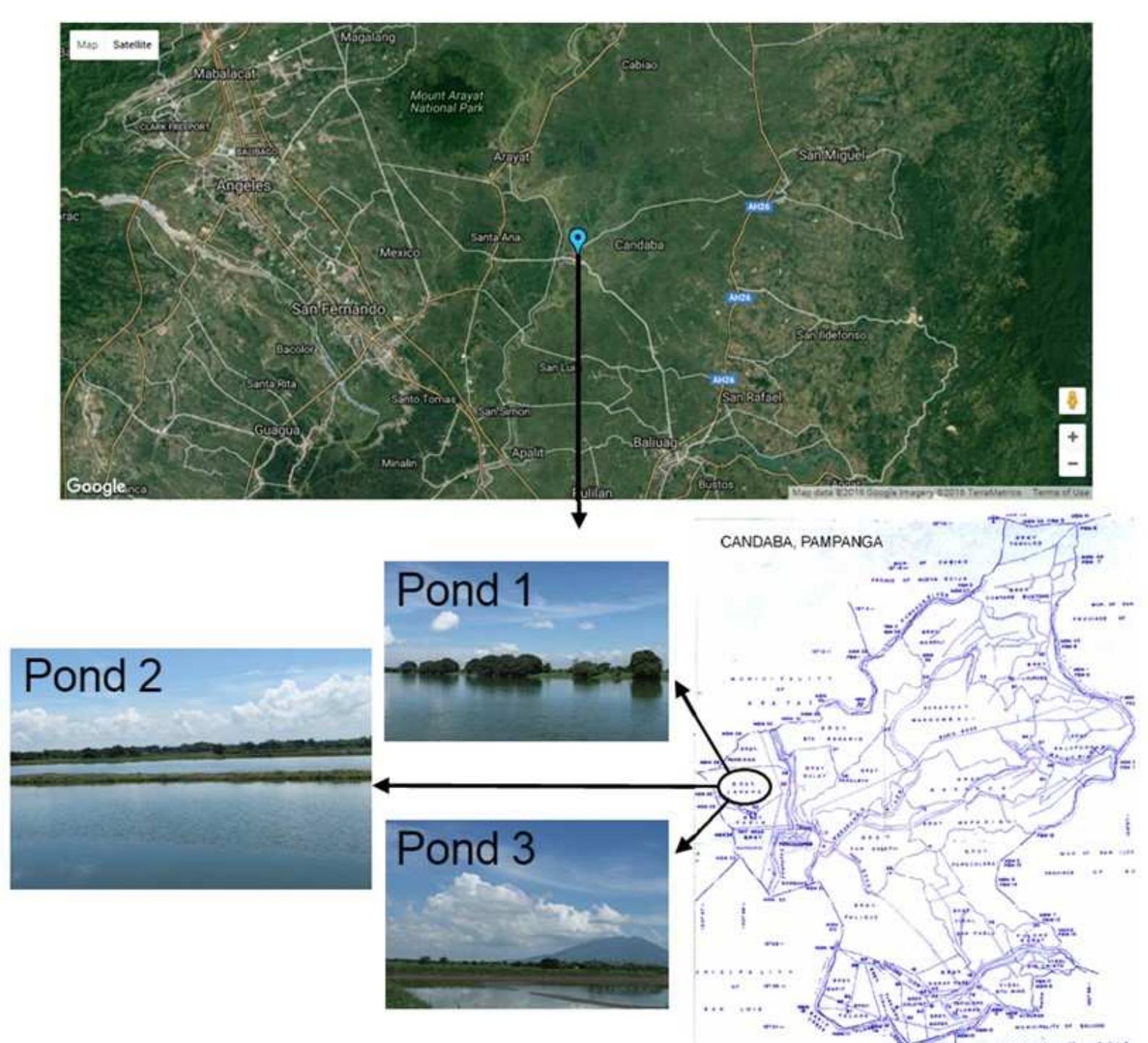 Map of fish ponds showing its location in candaba, pampanga,