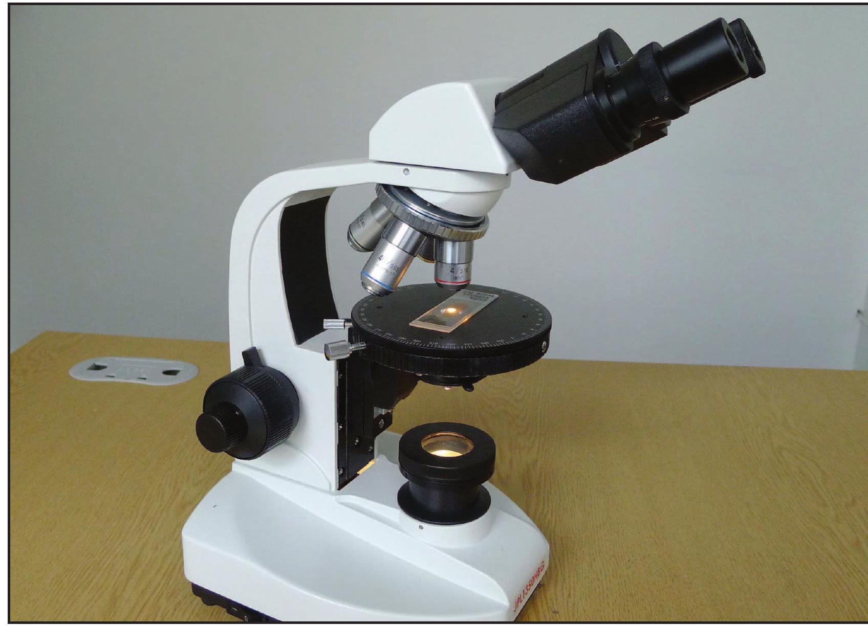 (PDF) Ceramic Petrography: The Interpretation of Archaeological Pottery ...