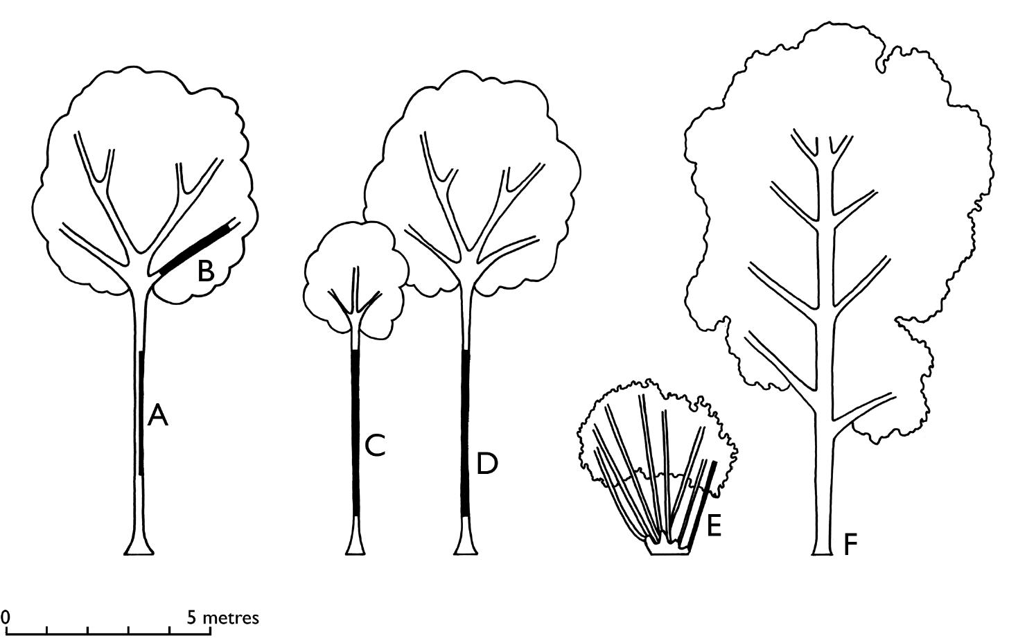 Figure 3 - from woodworking-technology.pdf