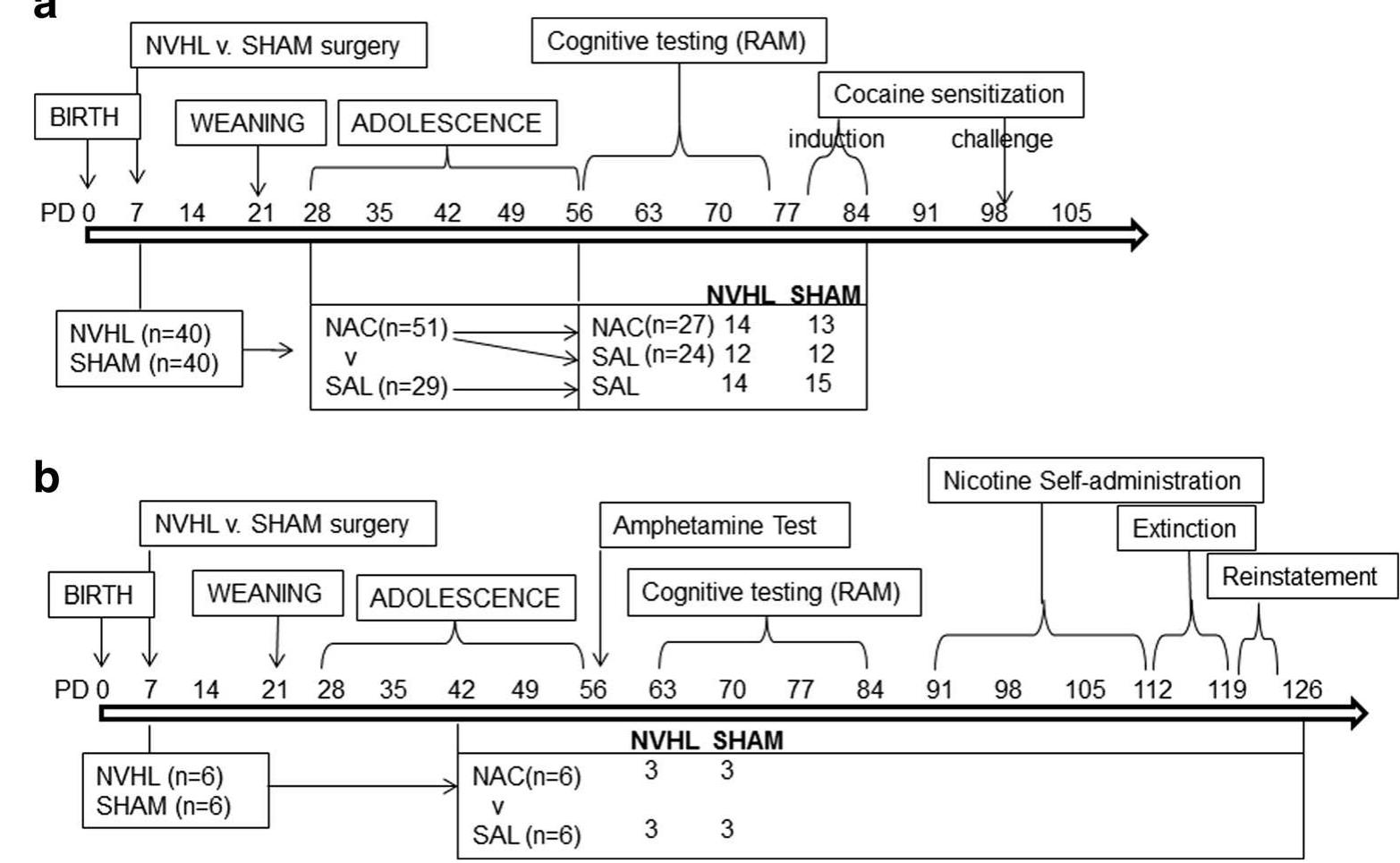 Saline, naoh adjusted to ph 7.2 at 100 mg/ml (shown to