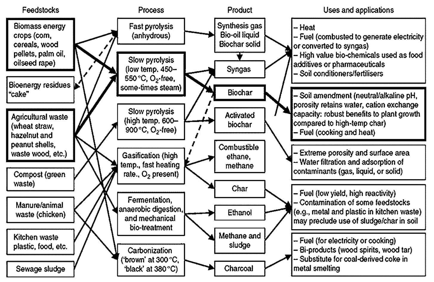 Biochar and other products of thermal conversion of biomass