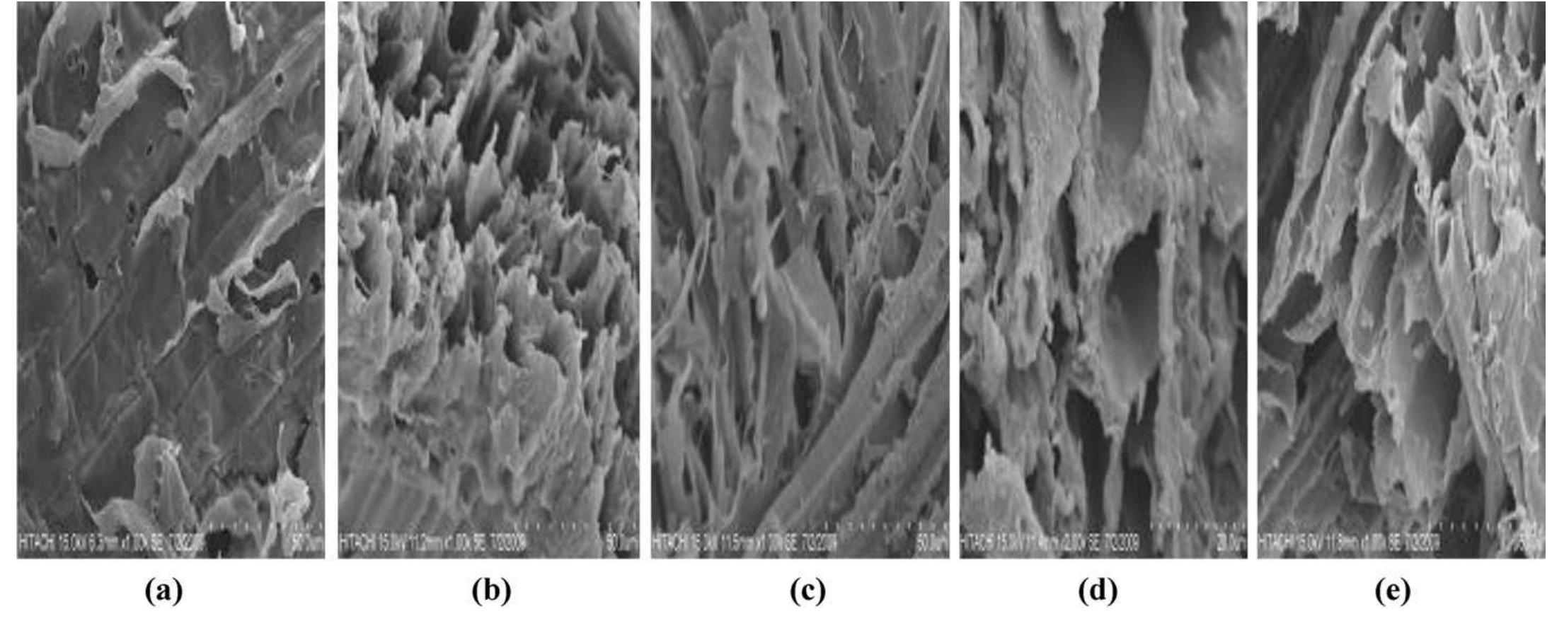 Sem images of rubber-wood-sawdust biochar samples at