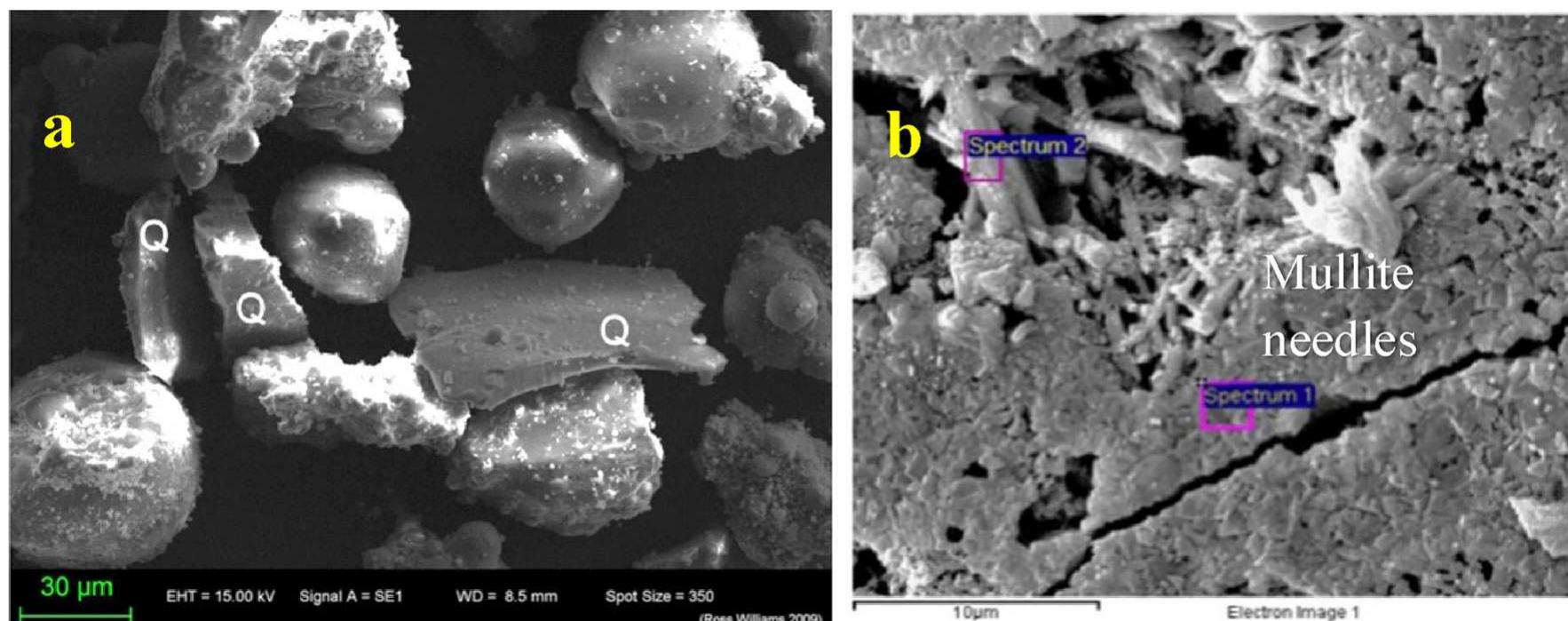 Sem micrograph: (a) primary quartz (labelled as q); (b)