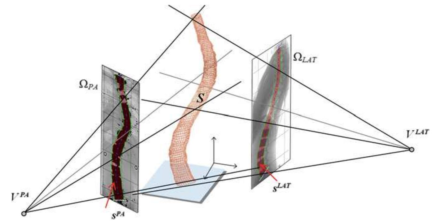 Principal of the visual hull 3d reconstruction of the global