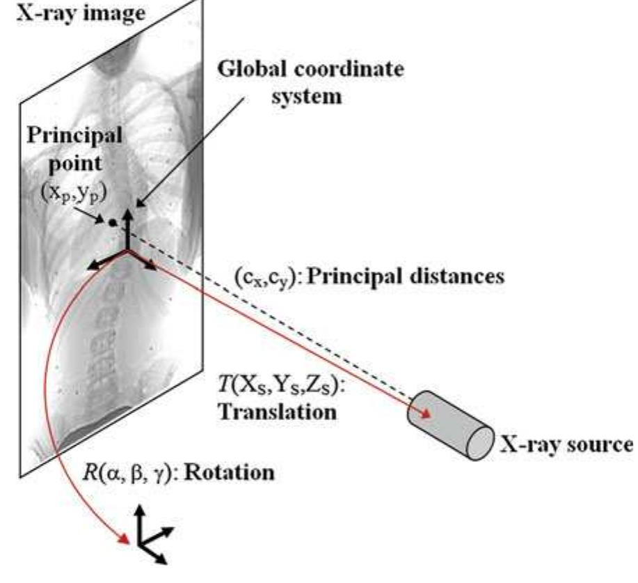Figure 86 - Spinal Imaging and Image Analysis