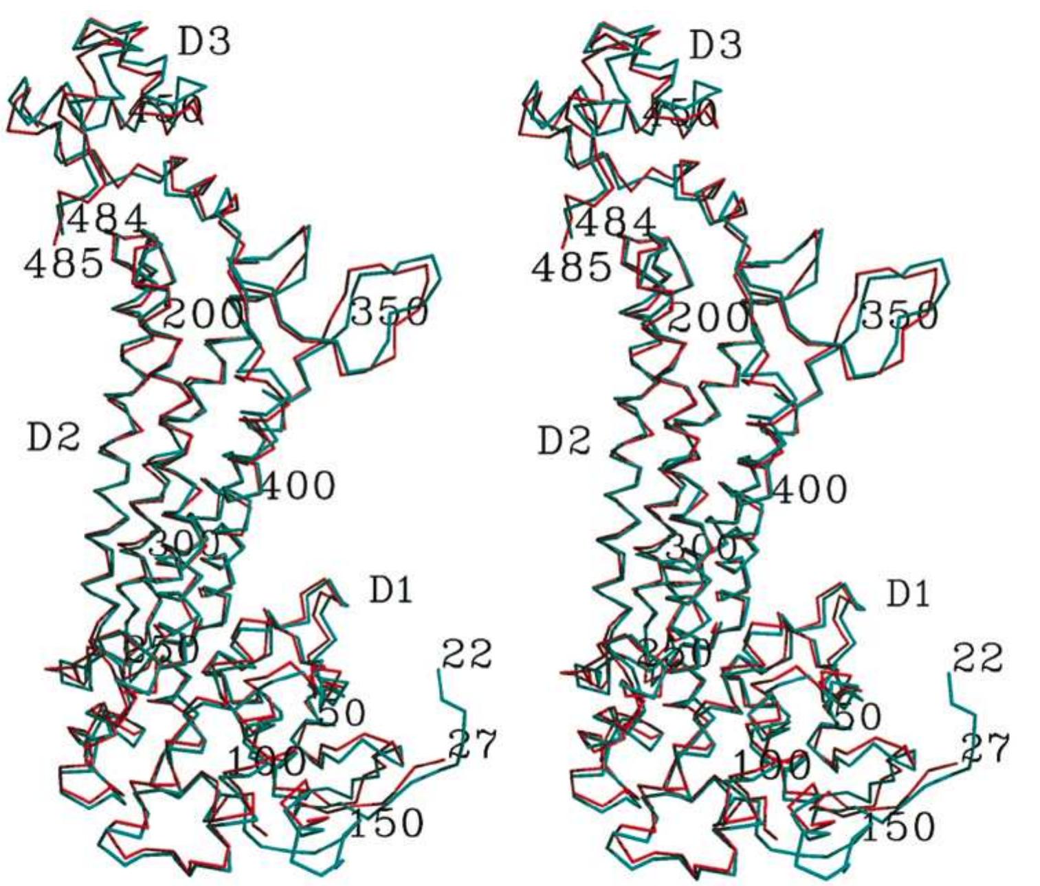 Crystal structures of ny and ry-fumarase. the stereo-drawing